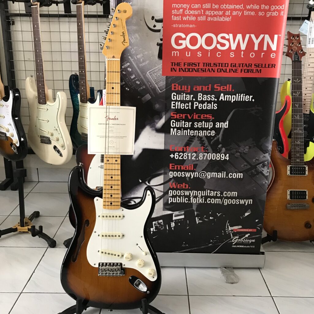 Brand New Fender Usa Eric Johnson Signature Stratocaster Thinline – 2 ...