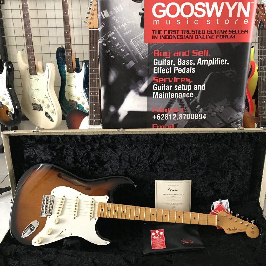 Brand New Fender Usa Eric Johnson Signature Stratocaster Thinline – 2 ...