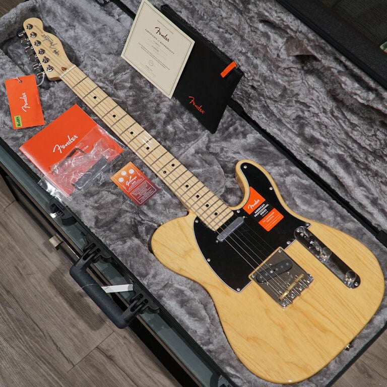 Fender American Professional Telecaster – Natural Ash Body – Gooswyn Guitar