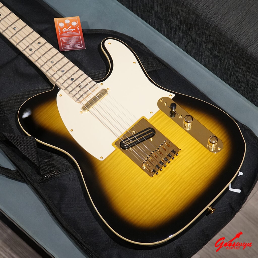 Fender Japan Exclusive Richie Kotzen Telecaster – Brown Sunburst ...
