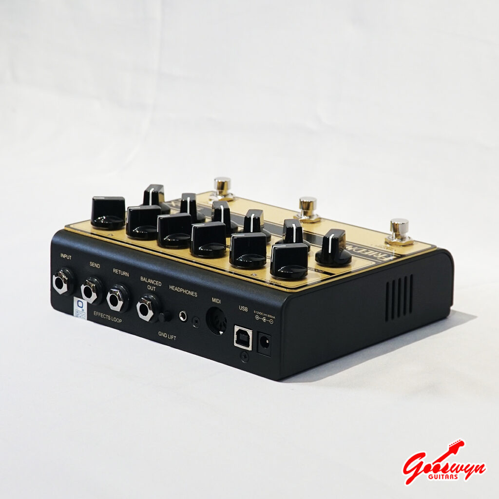 Friedman IR-X Dual Tube Preamp – Gooswyn Guitar