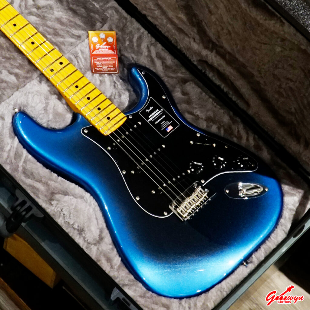 Fender American Professional II Stratocaster Dark Night 2022 – Gooswyn ...